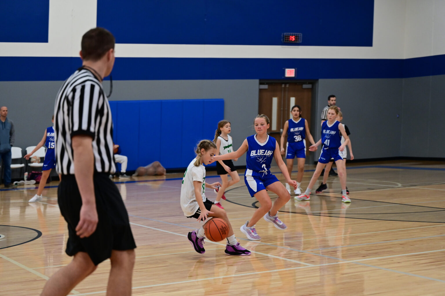 Home - Blue Jay Basketball Club