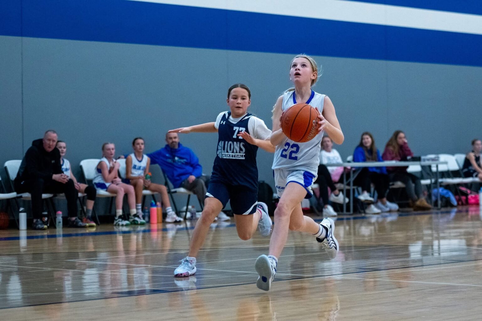 Home - Blue Jay Basketball Club