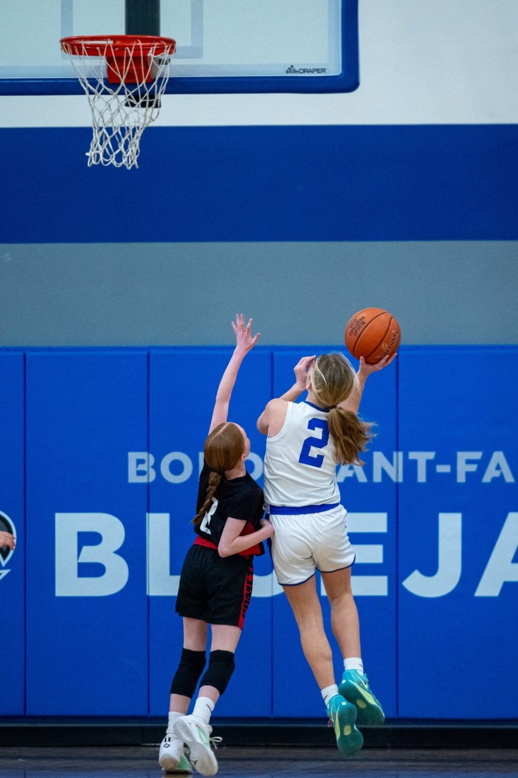 Home - Blue Jay Basketball Club
