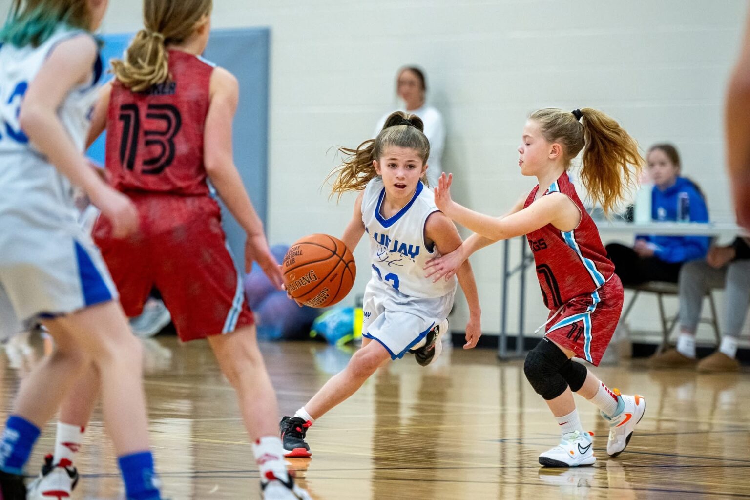 Home - Blue Jay Basketball Club